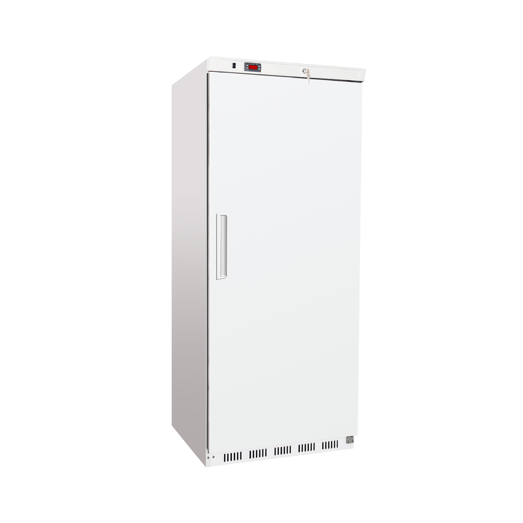 520L Backroom Freezer – Husky International